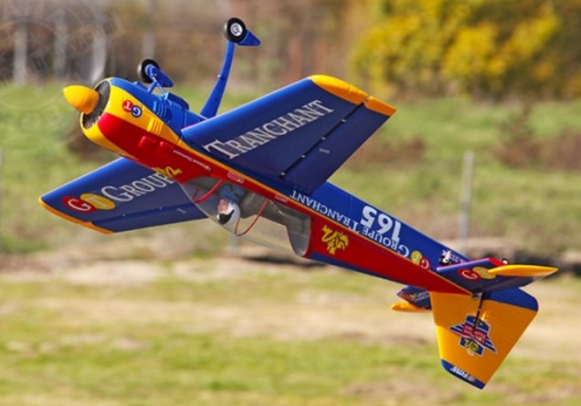 Gli aeromodelli dei soci del club aeromodellistico RCR Romano Nardini